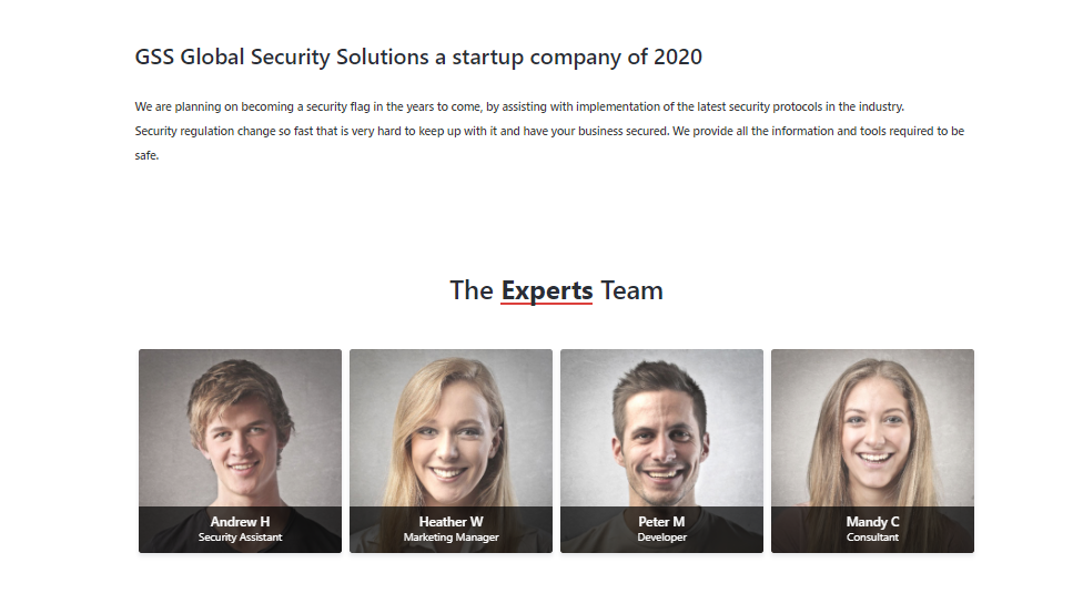 GSS Global Security Solutions